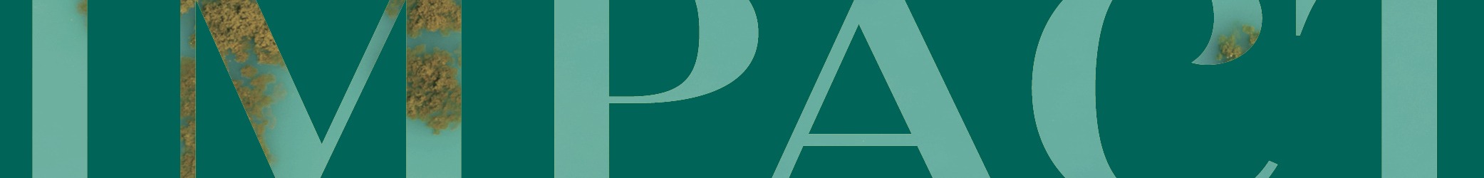 2025 OAG Impact Conference